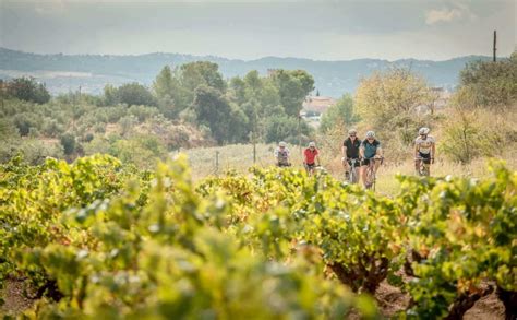 Self Guided Cycling Tour Barcelona Montserrat Penedes