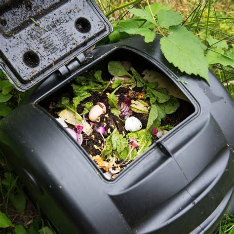 Composteira Elétrica Associação Ambiental Cultivar