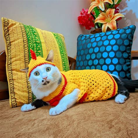 নানীরে আগেই কইছিলাম বেশি বাড়াবাড়ি না করতে।🤣 Highlights2025 Highlightseveryone