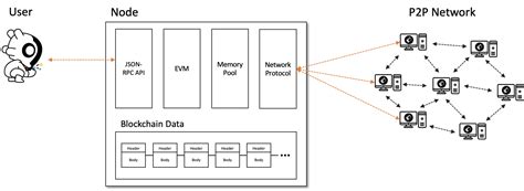 demystifying cryptocurrency nodes deep dive into polygon node ecosystem