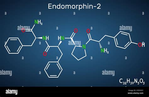 Endomorphin 2 Molecule Natural Opioid Peptide With Analgesic Properties Structural Chemical