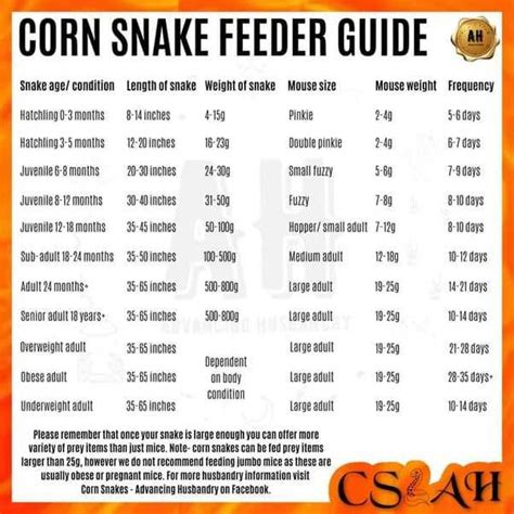 Corn Size Chart At James Velarde Blog Corn Size Chart At James Velarde Blog