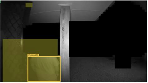 Detection Area And Images Sent To Ai Rblueiris