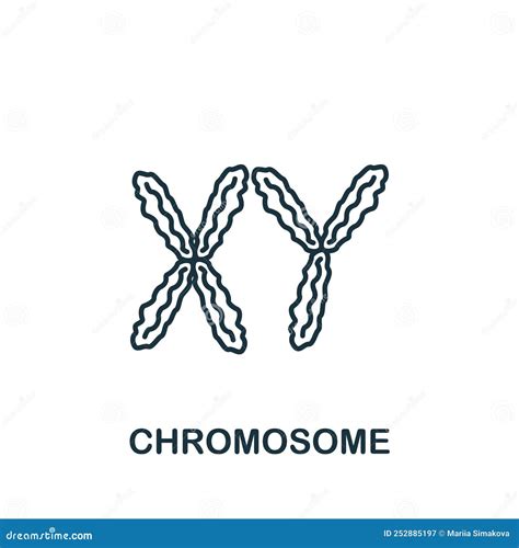 Chromosome Icon Monochrome Simple Bioengineering Icon For Templates
