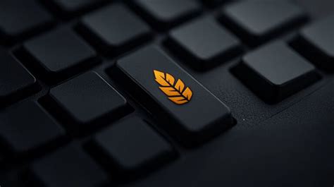 From Concept To Deployment The Complete Software Development Life