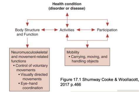 11 1 Upper Limb Reach Grasp And Manipulation Flashcards Quizlet