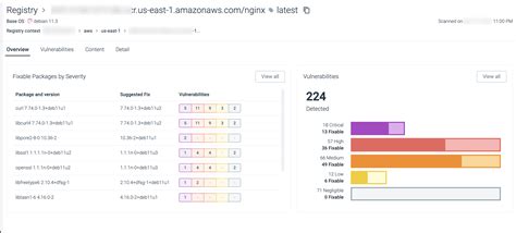 Registry Sysdig Docs