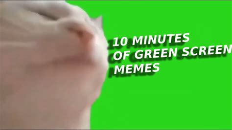Green Screen Video Memes Download At Harry Cairns Blog