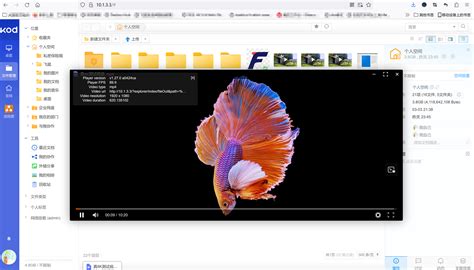 小团队制作的 P2p 打洞软件经过了时间测试,稳如老狗 V2ex 小团队制作的 P2p 打洞软件经过了时间测试,稳如老狗 V2ex
