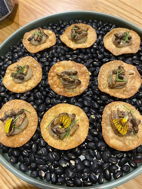 Bicky Nguyen On Linkedin Instead Of Or Along With The Image Of Full On Cricket With Legs Wings…