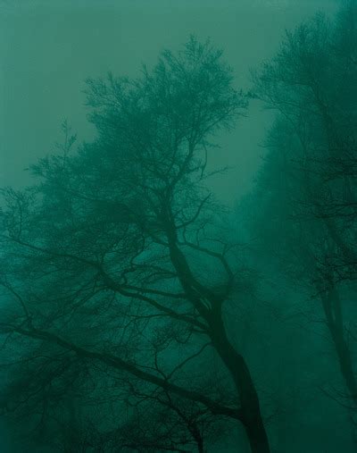 Every Aesthetic Tumbex