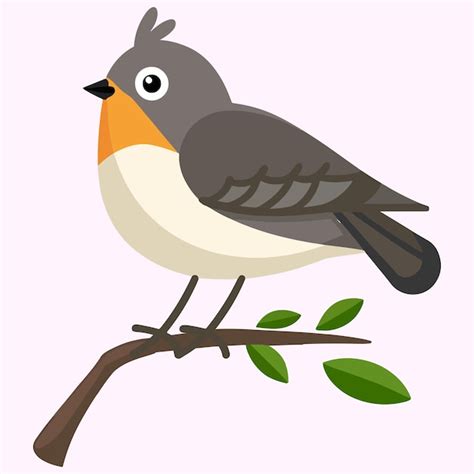Premium Vector Vector Bird