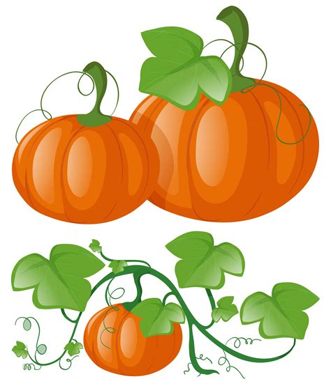 Pumpkin Vines Free Vector Art 14 Free Downloads