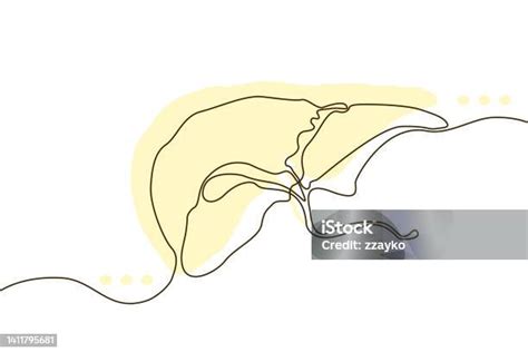 간 손으로 그린 아이콘 연속 선 그리기와 노란색 플랫 실루엣 인간의 장기 의학 트렌디 한 개념 하나의 단일 라인 디자인 윤곽선 간단한 이미지 흑백 벡터 간 내부 기관에 대한