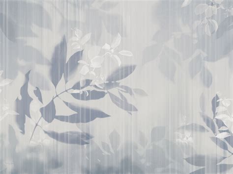 My Products Yuanzhicheng