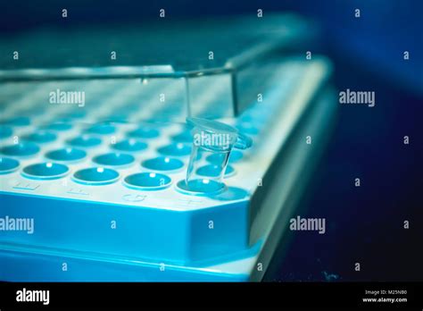 Cancer Crispr Gene Editing Research Concept Cancer And Diabetes Cure