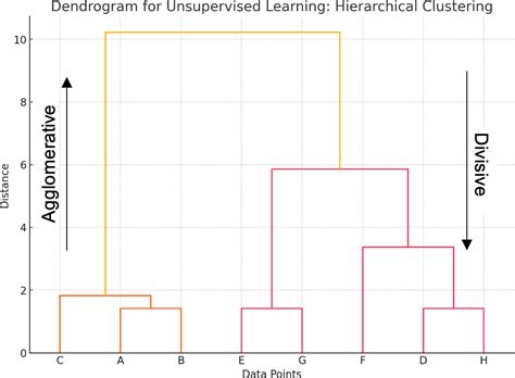 Hierarchical Clustering Practical Guide To Linkage Dendrograms And Distance
