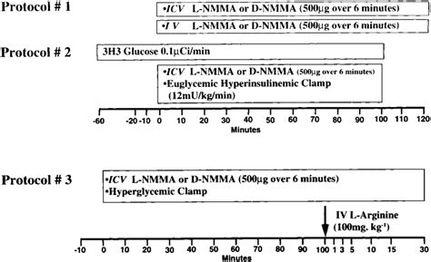 In Each Protocol Two Groups Of Rats Underwent Icv Bolus Injection