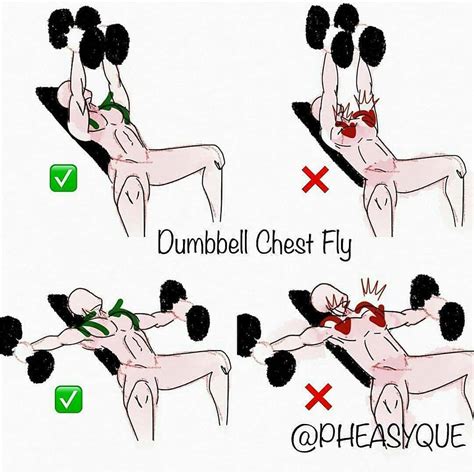 Chest Exercises Correctnes