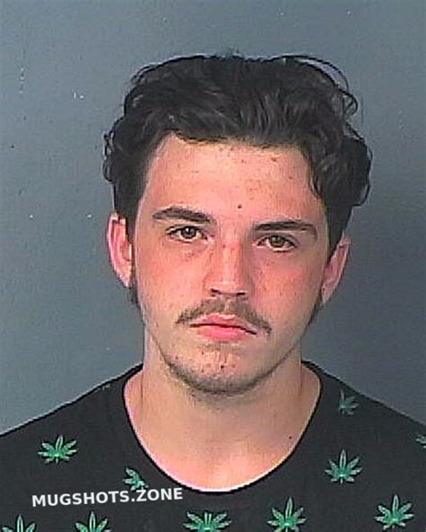 Replogle Dillon Nelson Dean 08292022 Hernando County Mugshots Zone