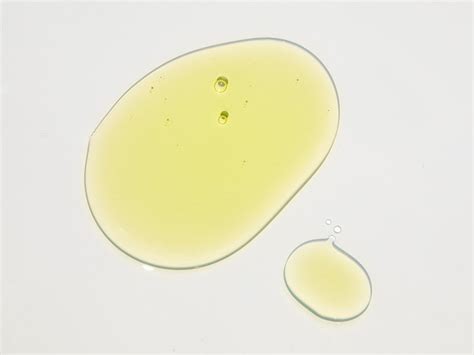 What Is Phloretin In Skincare