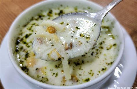 Yayla çorbası Turecká Jogurtová Polévka Jídlo Na Cestách