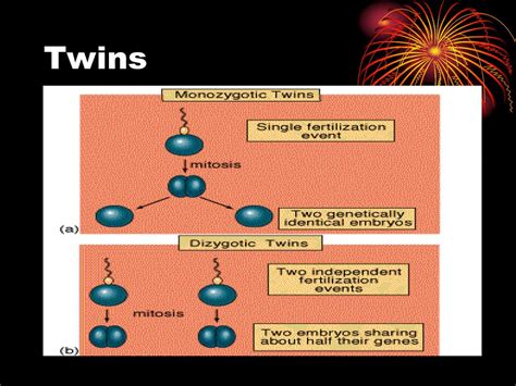 Making Reproductive Cells Ppt Download