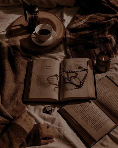 Pin By Zehrayi On Brown Dark Academia Aesthetic Books Brown