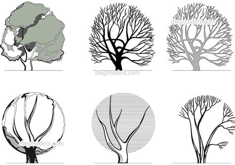 Architectural Graphics Trees CAD Blocks Free Dwg File Architecture Concept Drawings