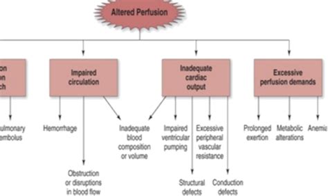 Module Week 7 Altered Perfusion Flashcards Quizlet Module Week 7 Altered Perfusion Flashcards Quizlet