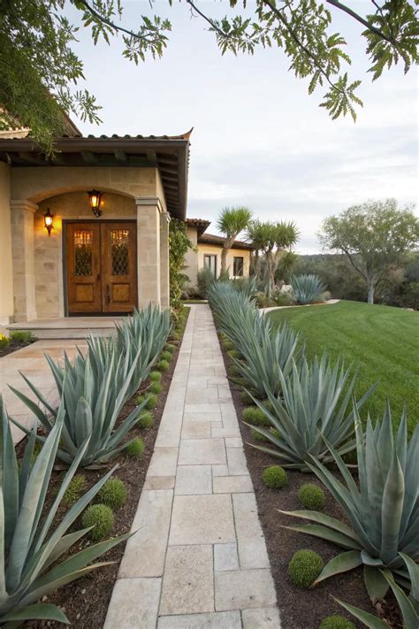 Front Yard Agave Garden Ideas