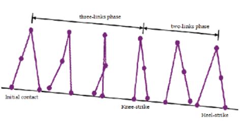 Gait Cycle In Kneed Passive Walk Download Scientific Diagram