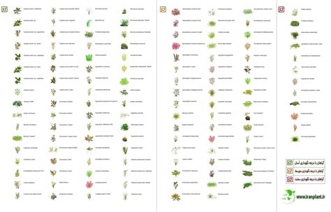 نگاهی کلی به گیاهان آبزی ایران پلنت