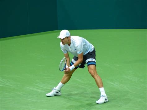 무료 이미지 네덜란드 투기장 로테르담 찬성 Atp 토너먼트 아호이 결정적인 버디 볼 게임 테니스 선수 개인 스포츠 경쟁 이벤트 라켓 스포츠