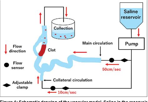 Figure 1 From Experimental Evaluation Of The Risk Of Distal