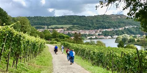 Along The Moselle Wine Route Pays Thionvillois Tourist Office
