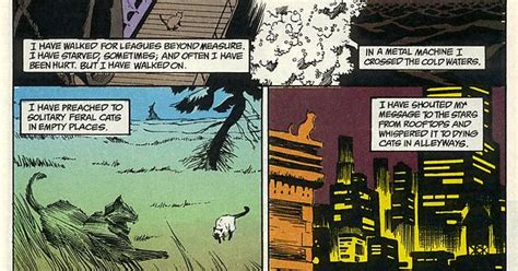 18 A Dream Of A Thousand Cats Album On Imgur