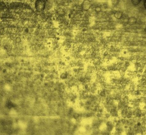 Microstructure Of Partial Fusion Zone X 1000 Download Scientific