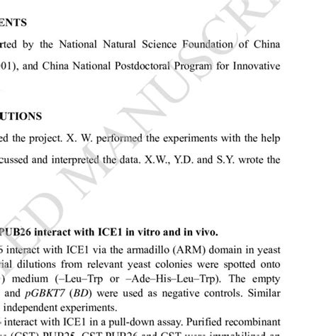 Figure S3b Taken Together These Results Indicate That Ice1 Acts Download Scientific Diagram
