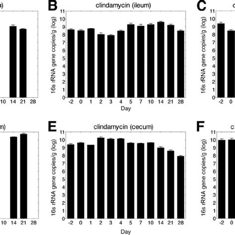C Difficile Infection Following Clindamycin Treatment Results In Download Scientific Diagram