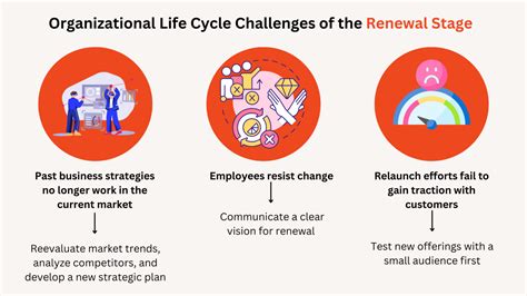 Organizational Life Cycle Definition And Managing Key Stages