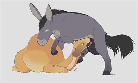 Rule 34 Ambiguous Gender Ambiguous Penetrated Animal Genitalia Animal