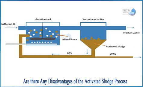 Activated Sludge Process Activated Sludge Process Hi Res Stock