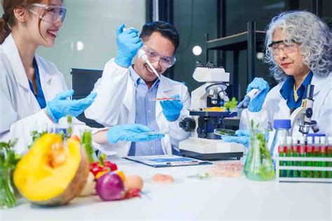 Food Processing Types And Methods Explained