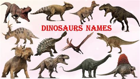 Types Of Dinosaurs Images And Names 1358x1600