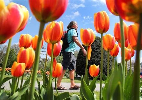 22 Things To Do In Boston For Visitors And Residents Looking To Rediscover A Classic The