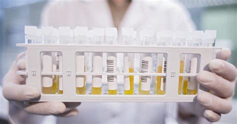 Dr Birgit Blissenbach Posted On Linkedin