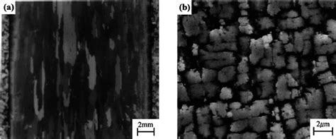 Sem Micrograph Showing A The Grain Structure And B The Shape Of γ