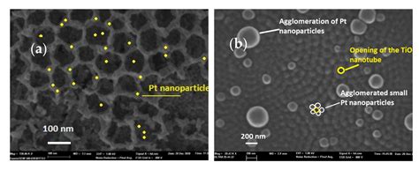 Synthesis And Characterization Of Tio2 Nanotubes Tio2 Nts Decorated