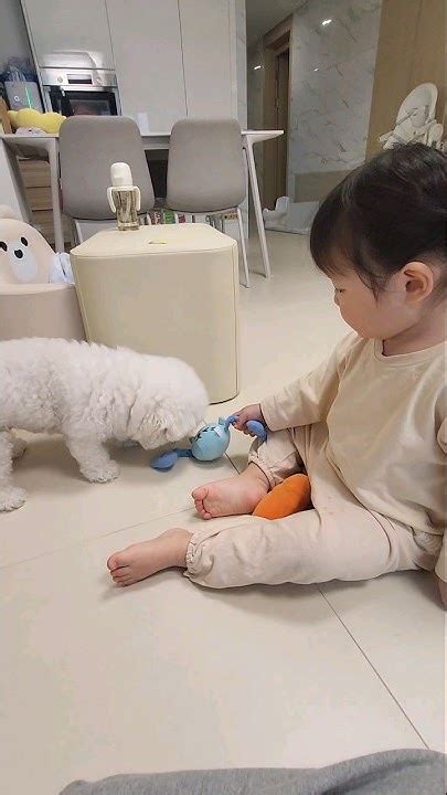 단짝 친구 꼬미ㅋㅋㅋ Youtube